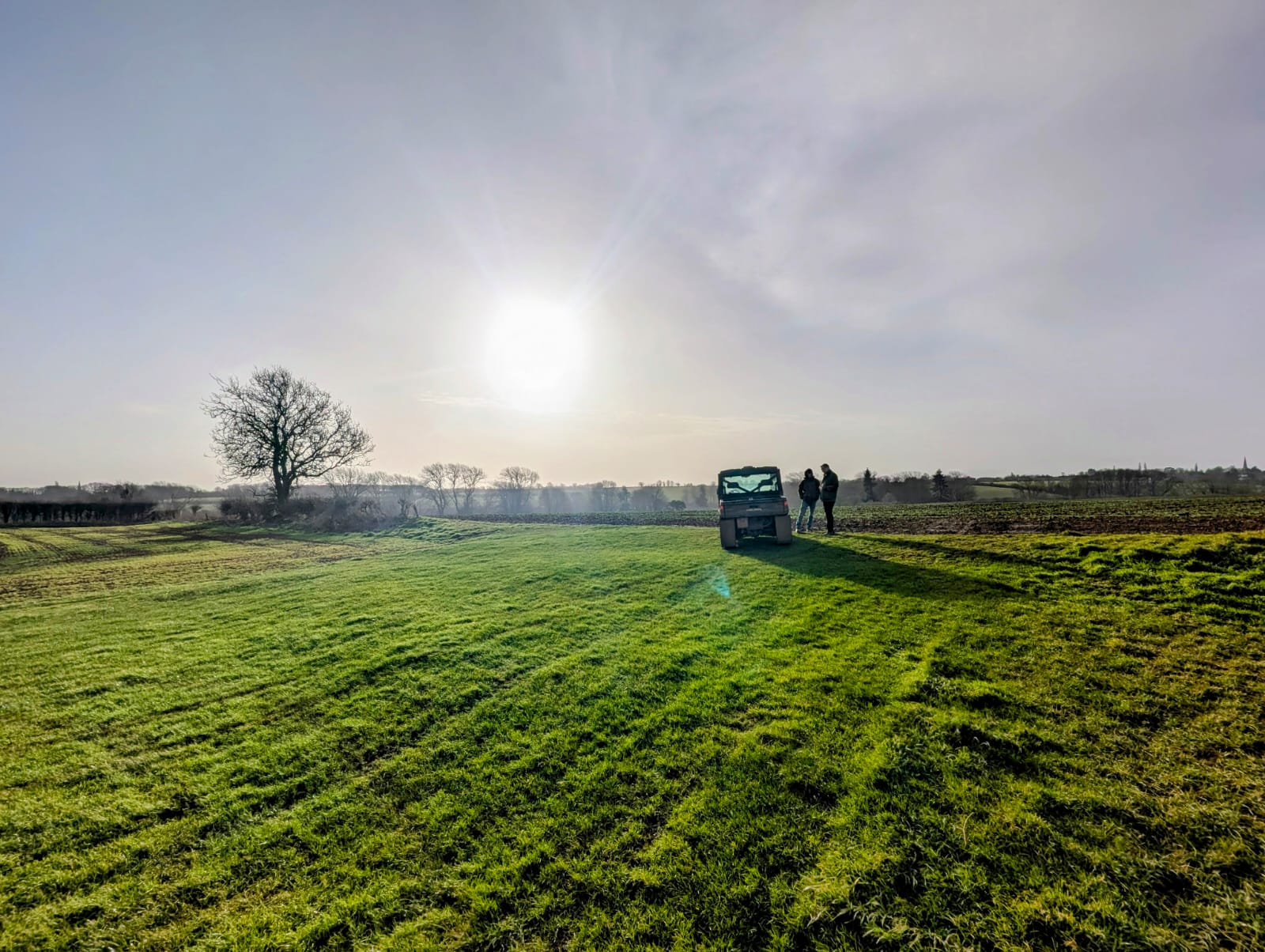 Limited Viable Grid Connections Challenge Renewable Energy Sector ...